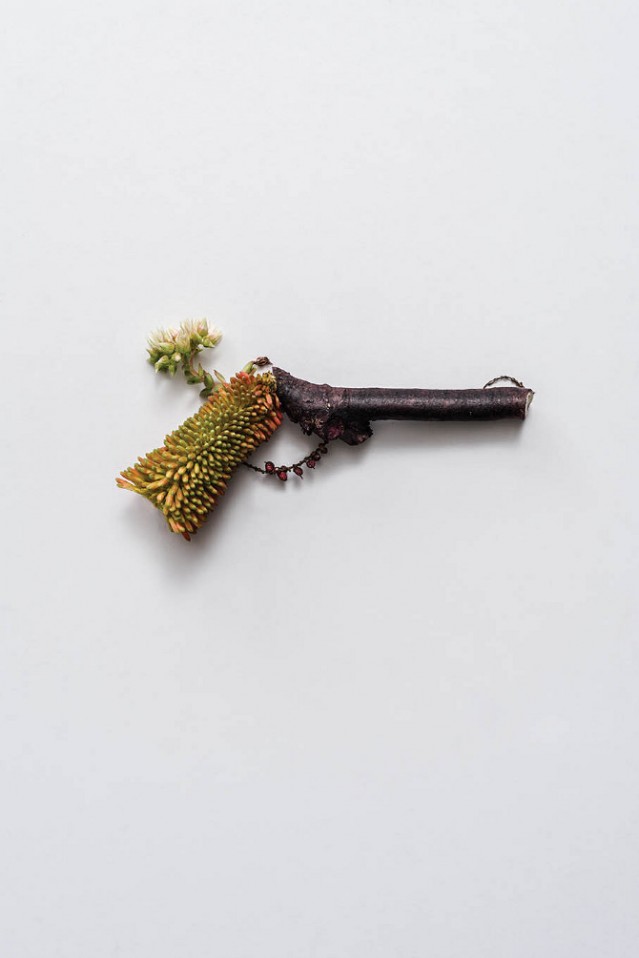 Weapons Made of Plants – Fubiz Media