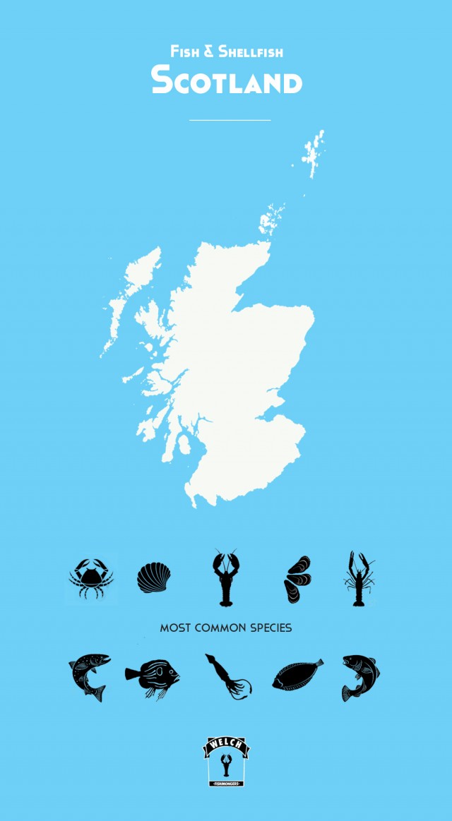 Scottish Seafood Species Illustration – Fubiz Media