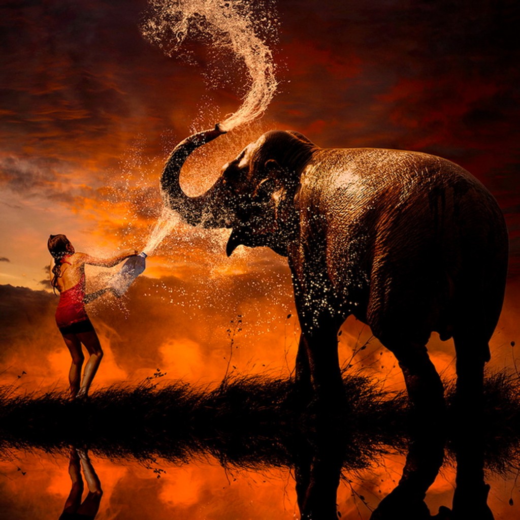 Ionut Caras Photography – Fubiz Media