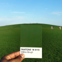 The Pantone Project – Fubiz Media