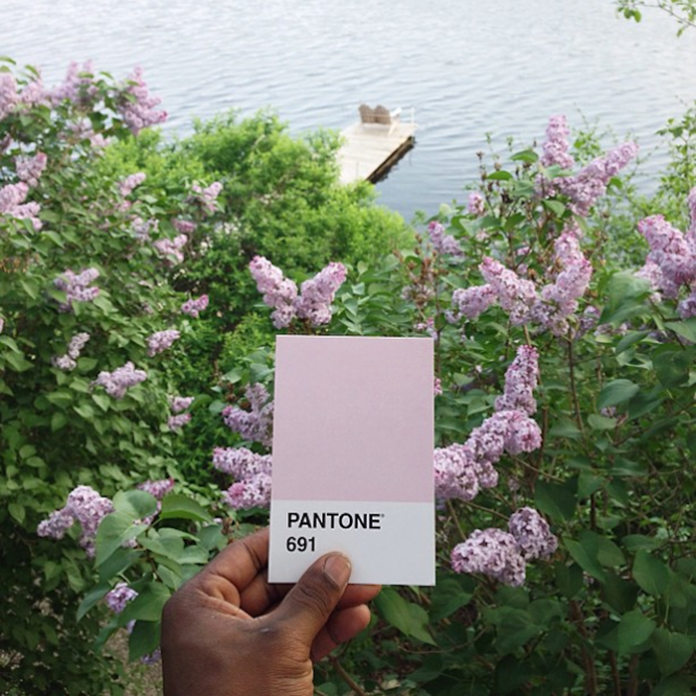 The Pantone Project – Fubiz Media