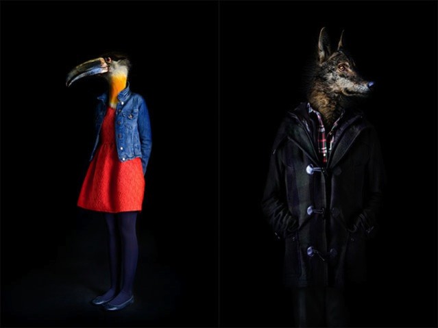 Fashion Dress Animals – Fubiz Media