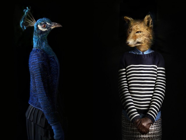 Fashion Dress Animals – Fubiz Media
