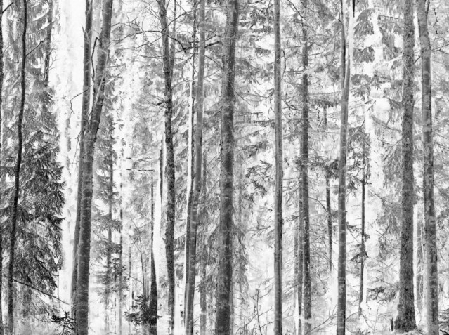 Landscape Photography by Brendan Austin – Fubiz Media