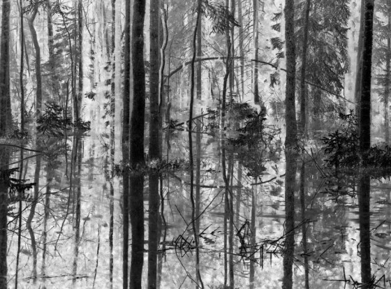 Landscape Photography by Brendan Austin – Fubiz Media