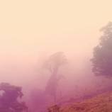 Landscape Photography by Brendan Austin – Fubiz Media