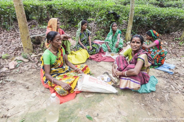 THE TEA PRODUCTION IN BANGLADESH – Fubiz Media