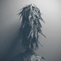 Fur Character Design – Fubiz Media
