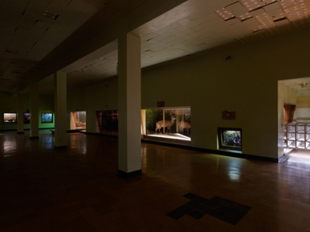 Museum Art Space Transformation – Fubiz Media