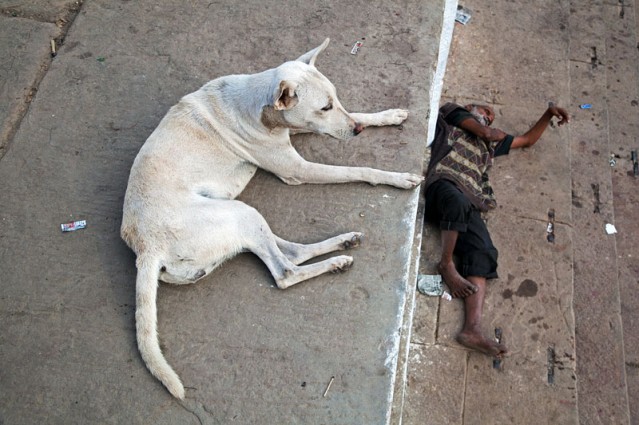 The Art of Improbable Coincidence – Fubiz Media