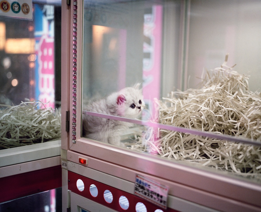 Thomas Prior Photography-2 – Fubiz Media
