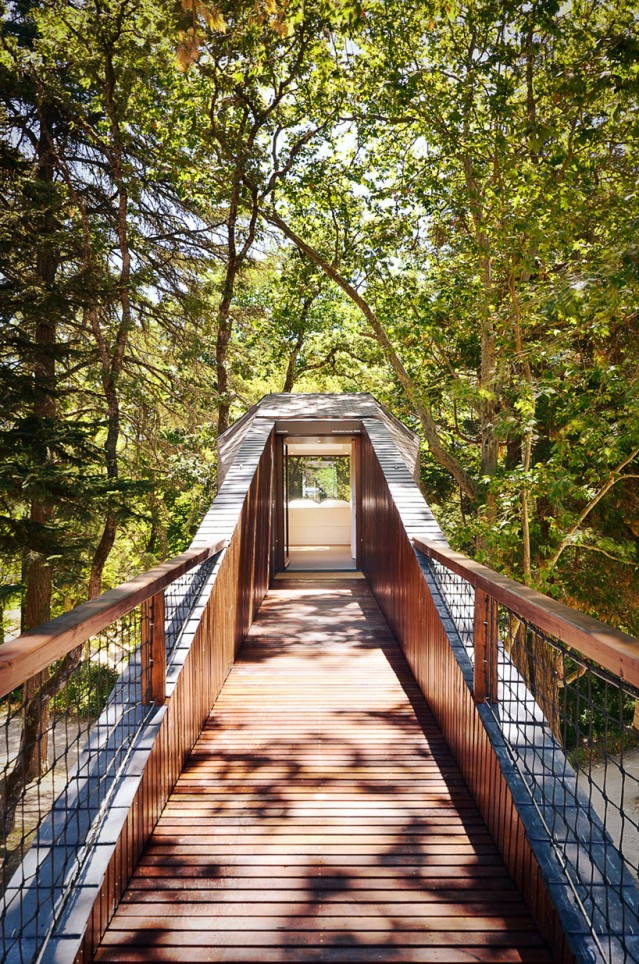 Tree Snake House – Fubiz Media