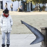 Wooden Shark Coffins – Fubiz Media