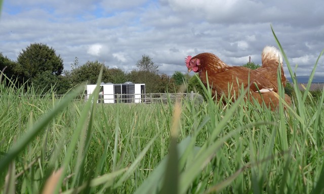 Hivehaus compact modular living space – Fubiz Media