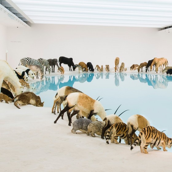 99 Lifelike Animals Installation – Fubiz Media