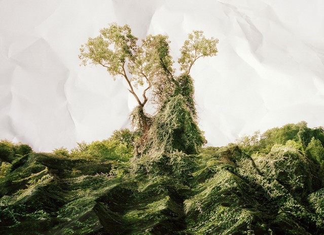 Laura Plageman Landscapes – Fubiz Media