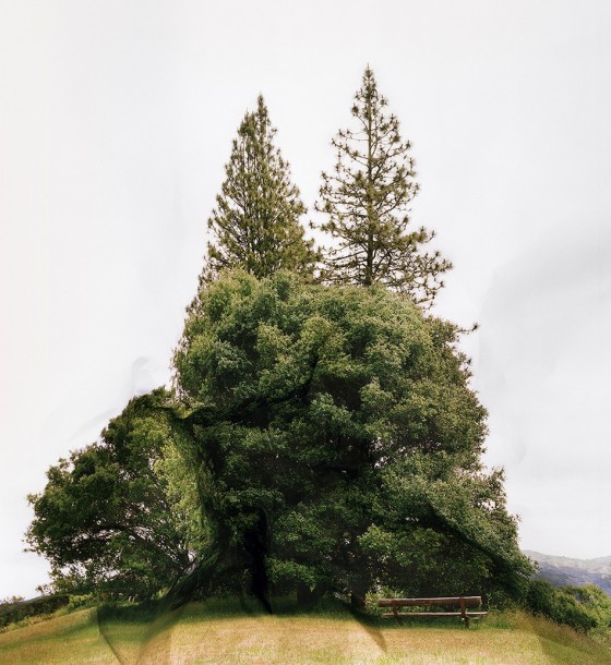 Laura Plageman Landscapes – Fubiz Media