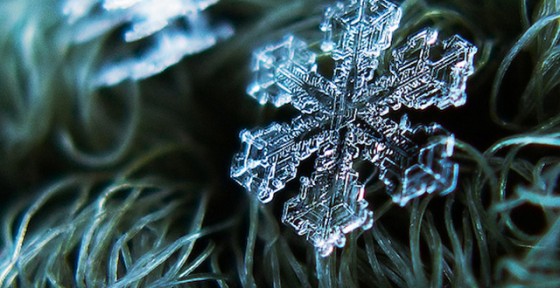 Macro Snowflake – Fubiz Media