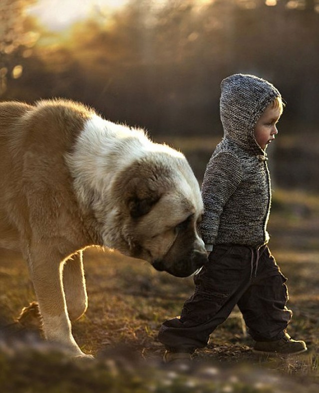 Children who Love Animals – Fubiz Media