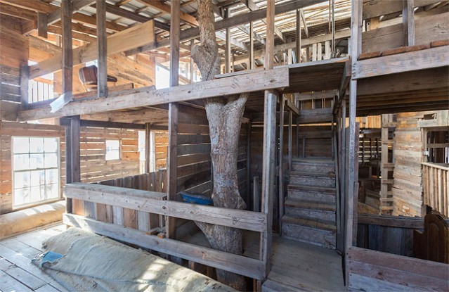 Inside the World’s Biggest Tree House – Fubiz Media
