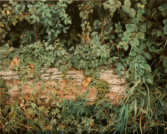 Hyperrealistic Paintings by Jacques Bodin – Fubiz Media