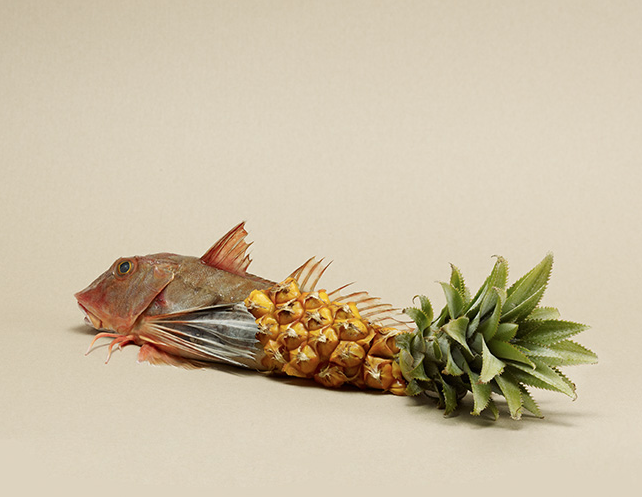 Rene Mesman Photography – Fubiz Media