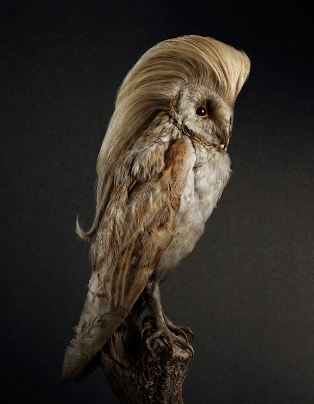 Rene Mesman 3 – Fubiz Media