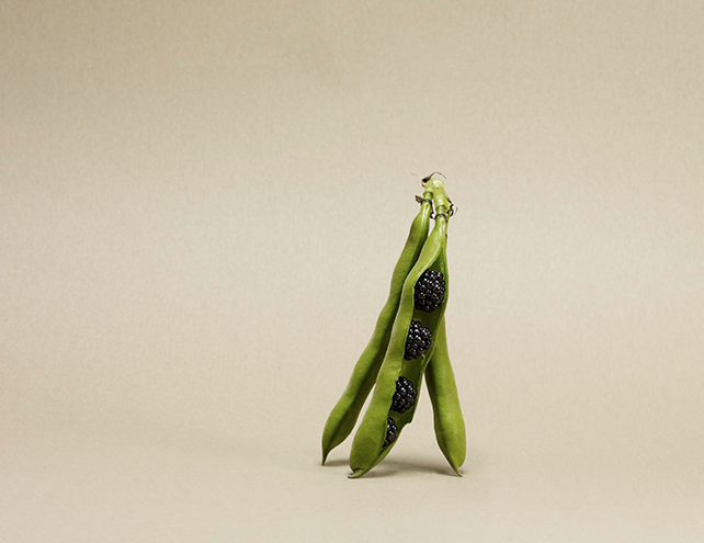 Rene Mesman Photography – Fubiz Media