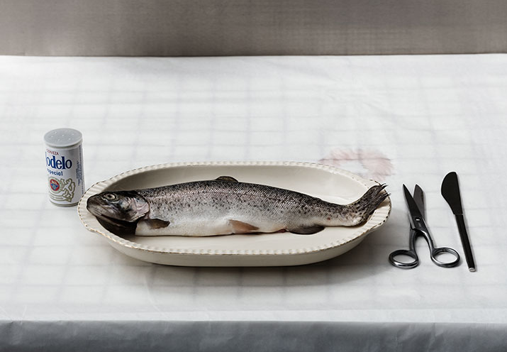 Rene Mesman Photography – Fubiz Media