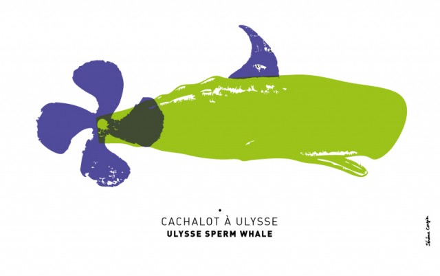 Typographic animals – Fubiz Media