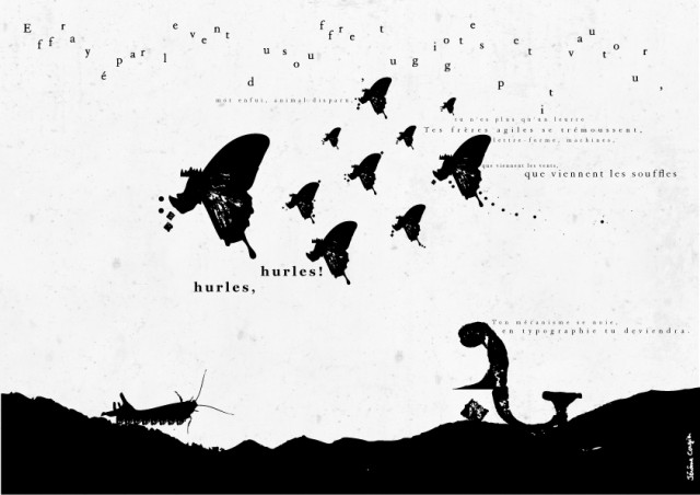 Typographic animals – Fubiz Media