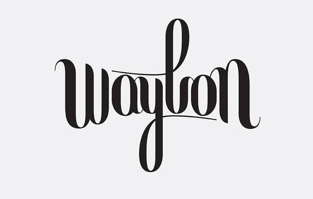 Logo for Waylon – Fubiz Media