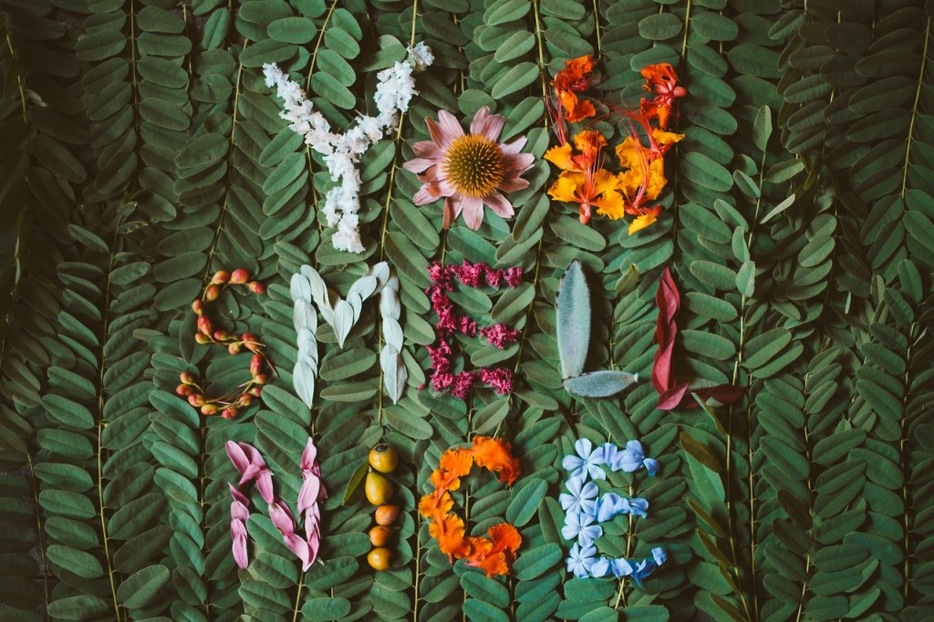 Emily Blincoe Photography – Fubiz Media