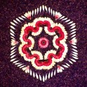 New Flower Mandalas by Kathy Klein – Fubiz Media