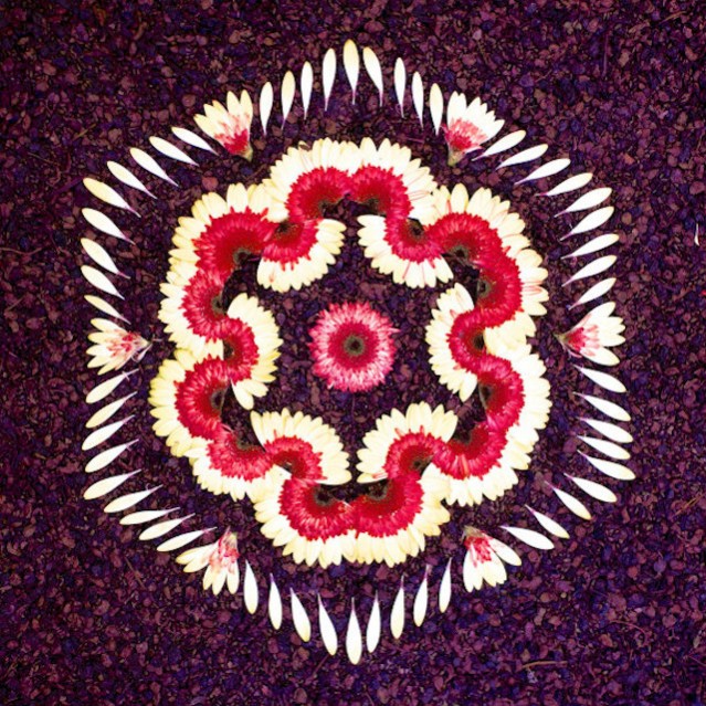 New Flower Mandalas by Kathy Klein – Fubiz Media