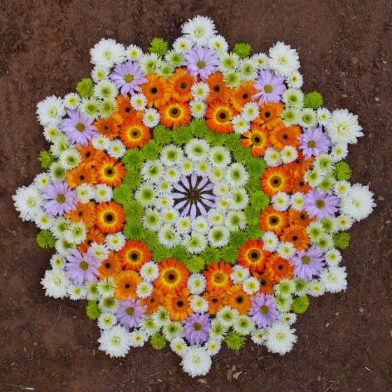 New Flower Mandalas by Kathy Klein – Fubiz Media