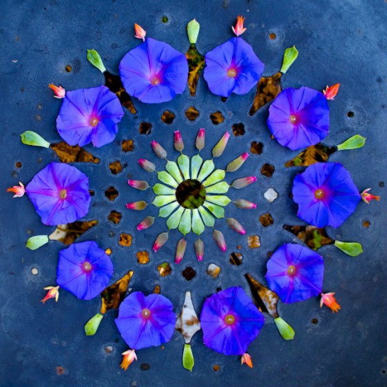 New Flower Mandalas by Kathy Klein – Fubiz Media