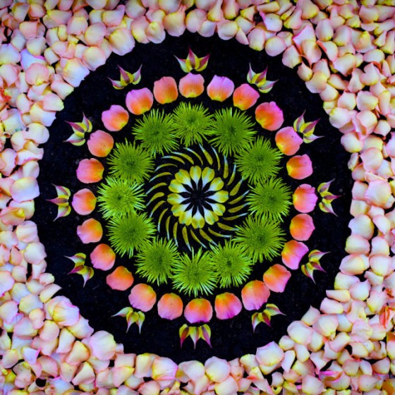 New Flower Mandalas by Kathy Klein – Fubiz Media