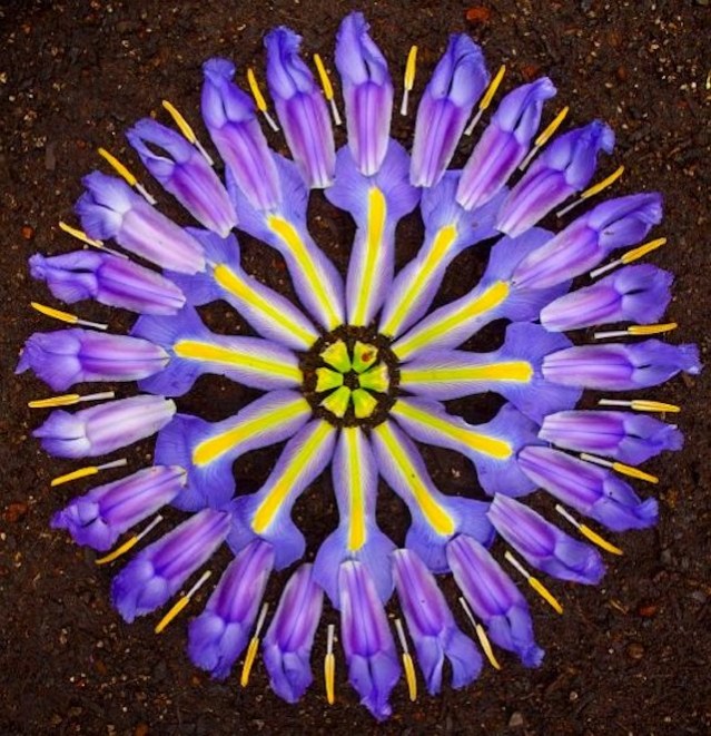 New Flower Mandalas by Kathy Klein – Fubiz Media