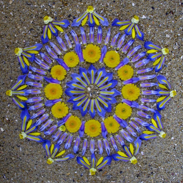 New Flower Mandalas by Kathy Klein – Fubiz Media