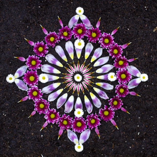 New Flower Mandalas by Kathy Klein – Fubiz Media