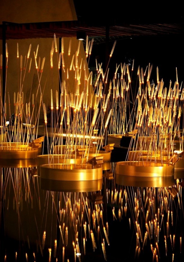 Royal Rice Field Design – Fubiz Media