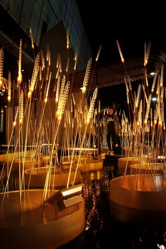 Royal Rice Field Design – Fubiz Media