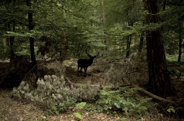 Absence Photography Series – Fubiz Media