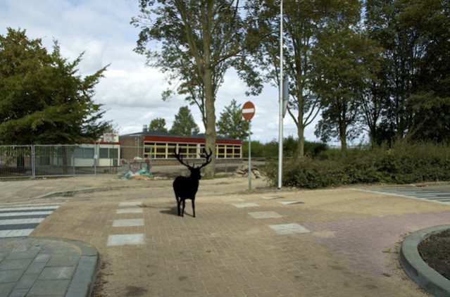 Absence Photography Series – Fubiz Media