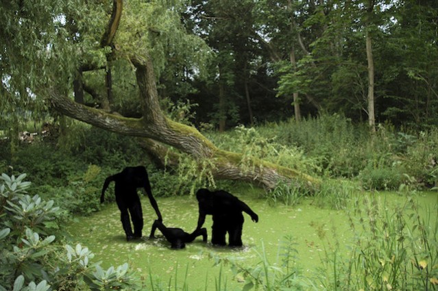 Absence Photography Series – Fubiz Media