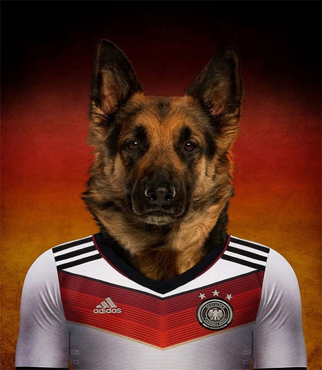 Dogs of World Cup Brazil 2014 – Fubiz Media