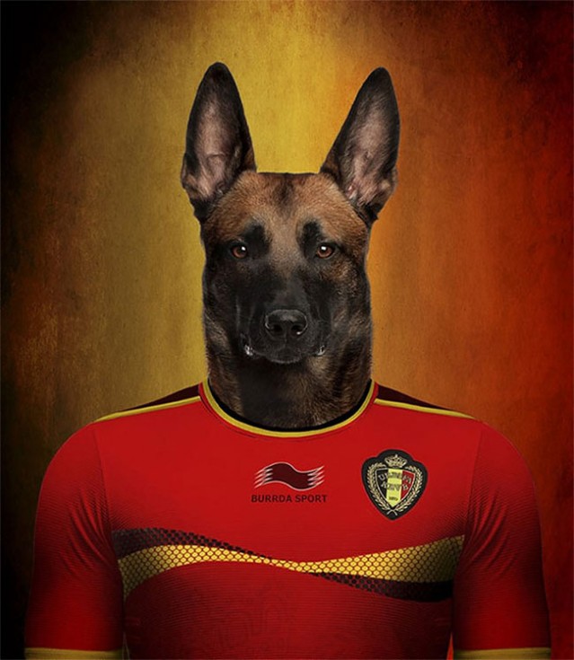 Dogs of World Cup Brazil 2014 – Fubiz Media