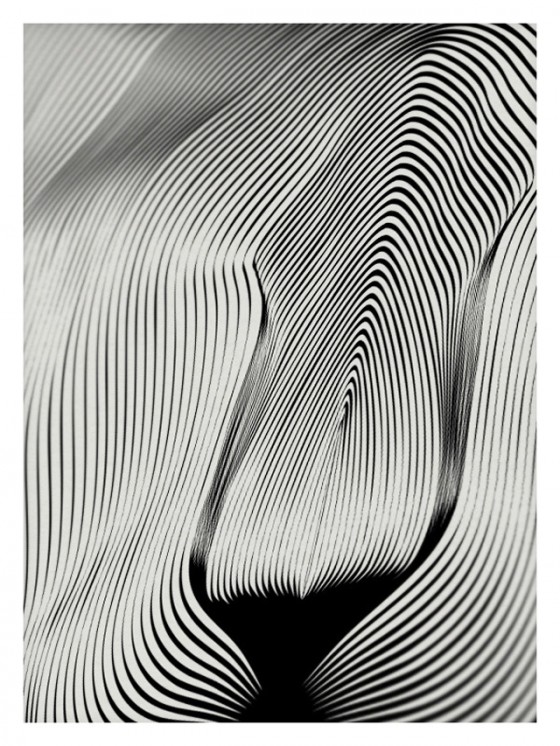 Drawing Animals using Moirée Patterns – Fubiz Media