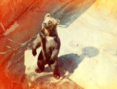 Nick Meek Photography – Fubiz Media